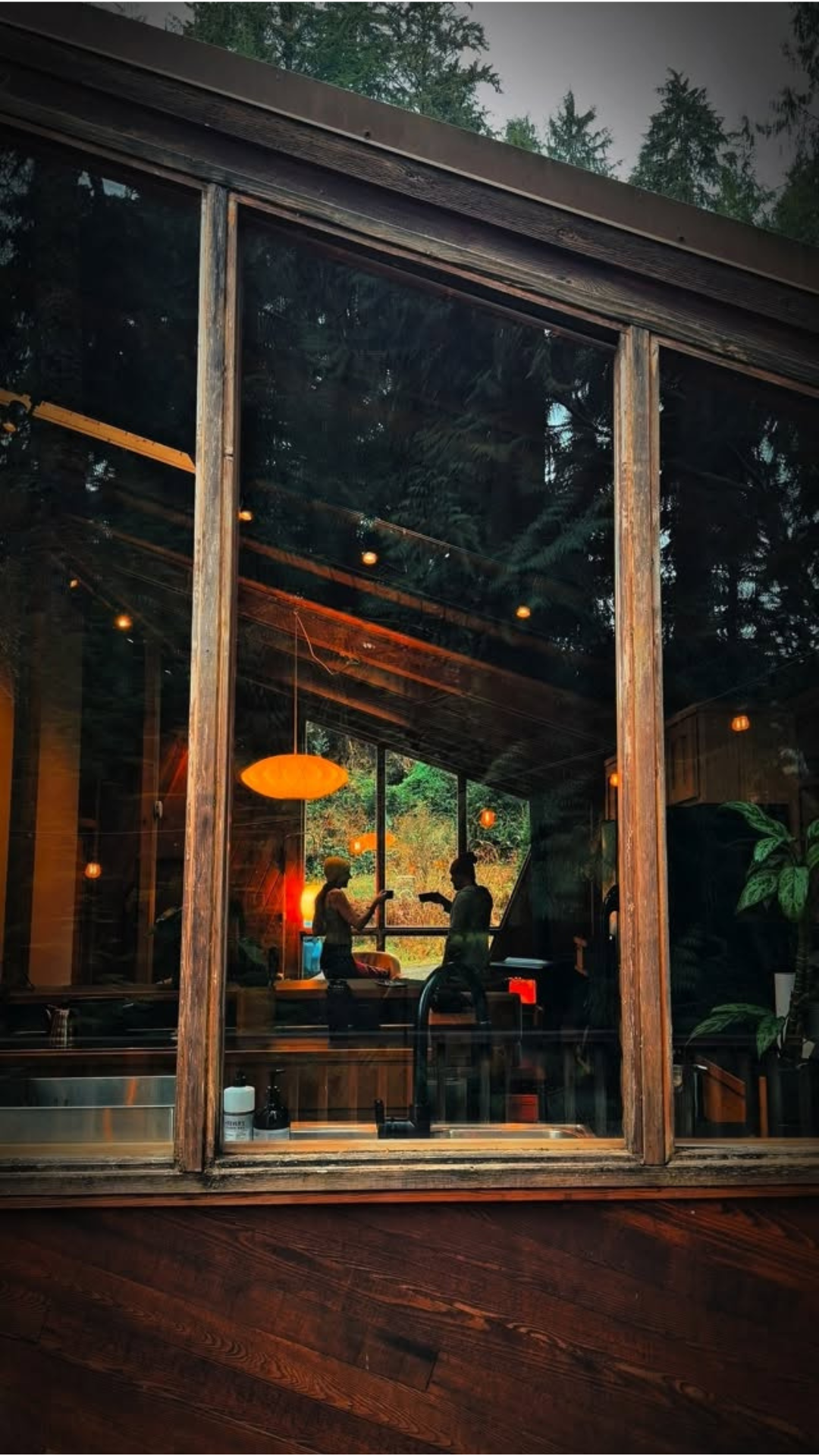 Cozy cabin escape surrounded by forest and morning light