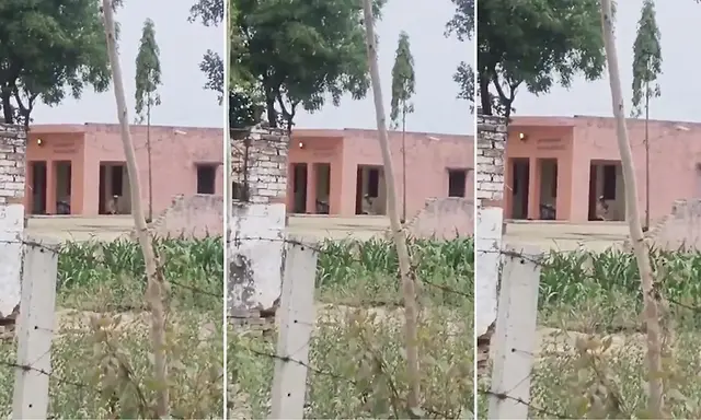 3 booked after video shows man offering namaz inside Hanuman temple in ...