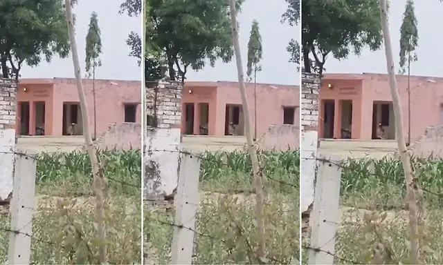 3 booked after video shows man offering namaz inside Hanuman temple in ...