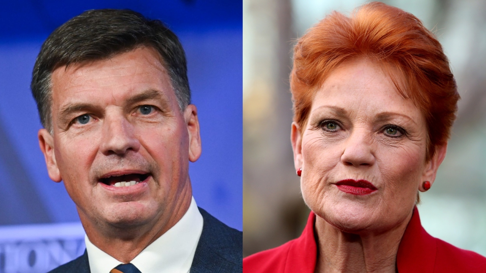Liberals could be 'reduced to a rump' by One Nation at next federal ...