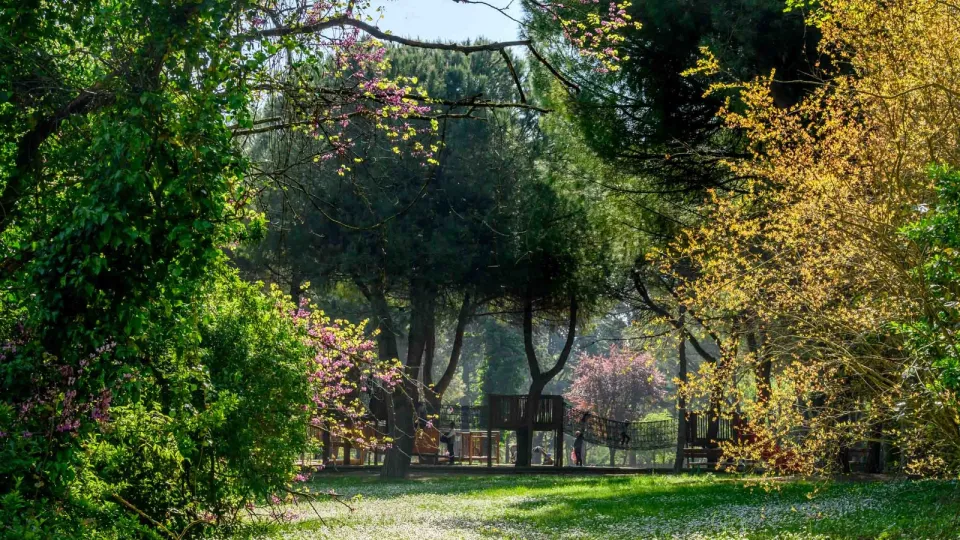Riccione, una giornata dedicata a famiglie e bambini al Parco della ...