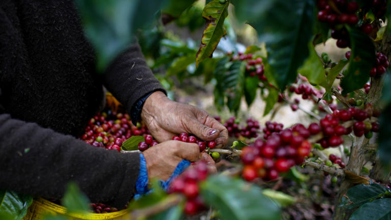 No, rolling back these environmental rules won’t lower your grocery bill