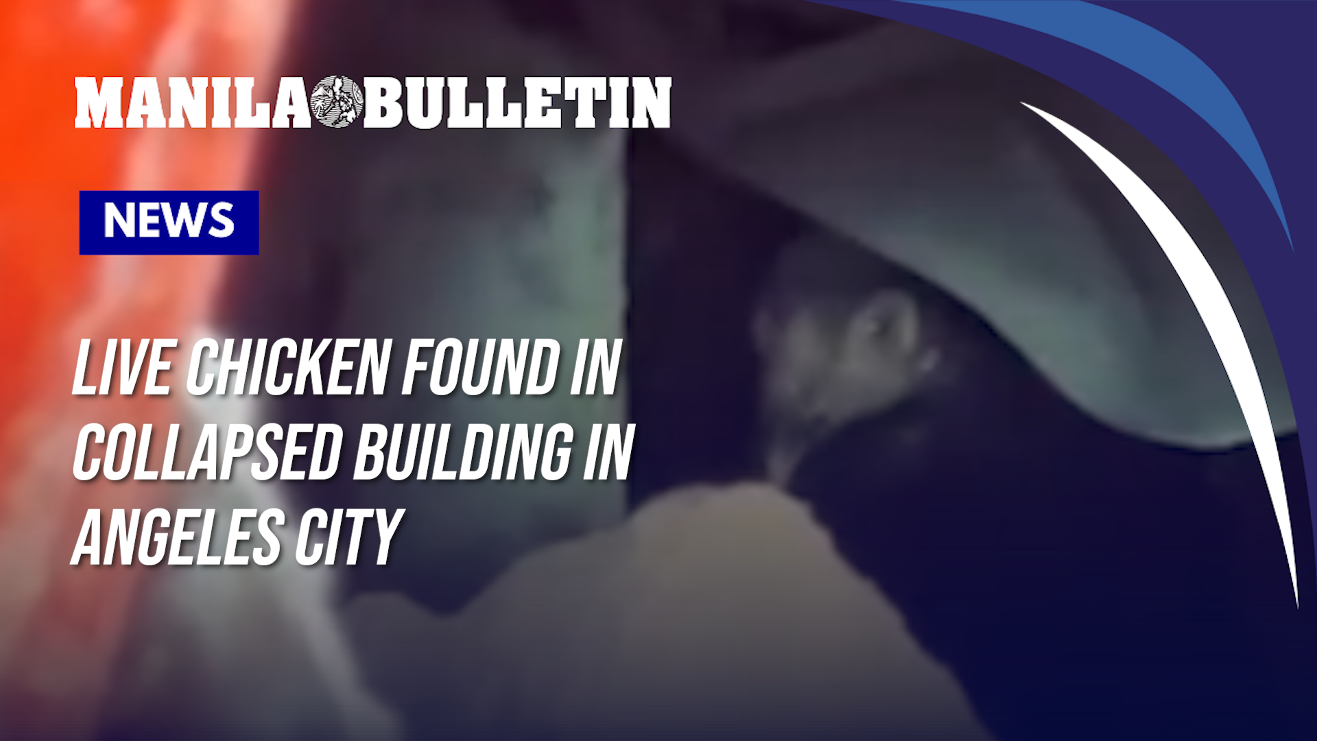 Live chicken found in collapsed building in Angeles City