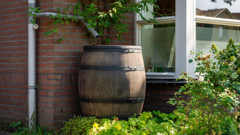 I’ve found a stash of the most stylish water butts that will harvest ...
