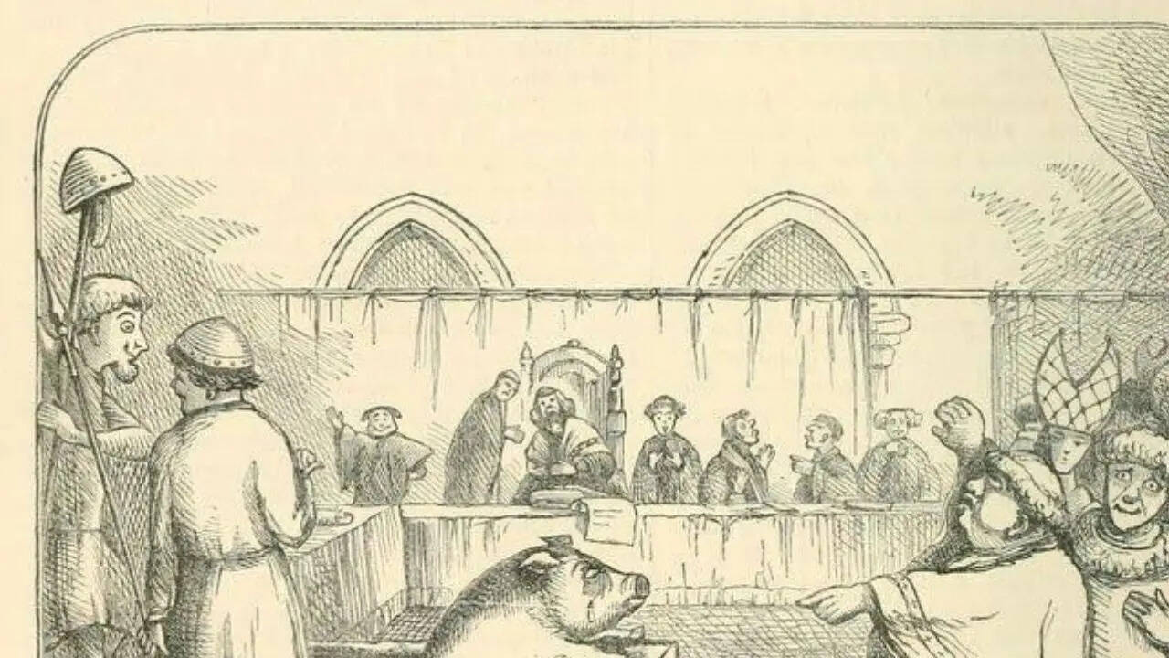 When pigs went to prison and rats faced trial: The strange world of ...