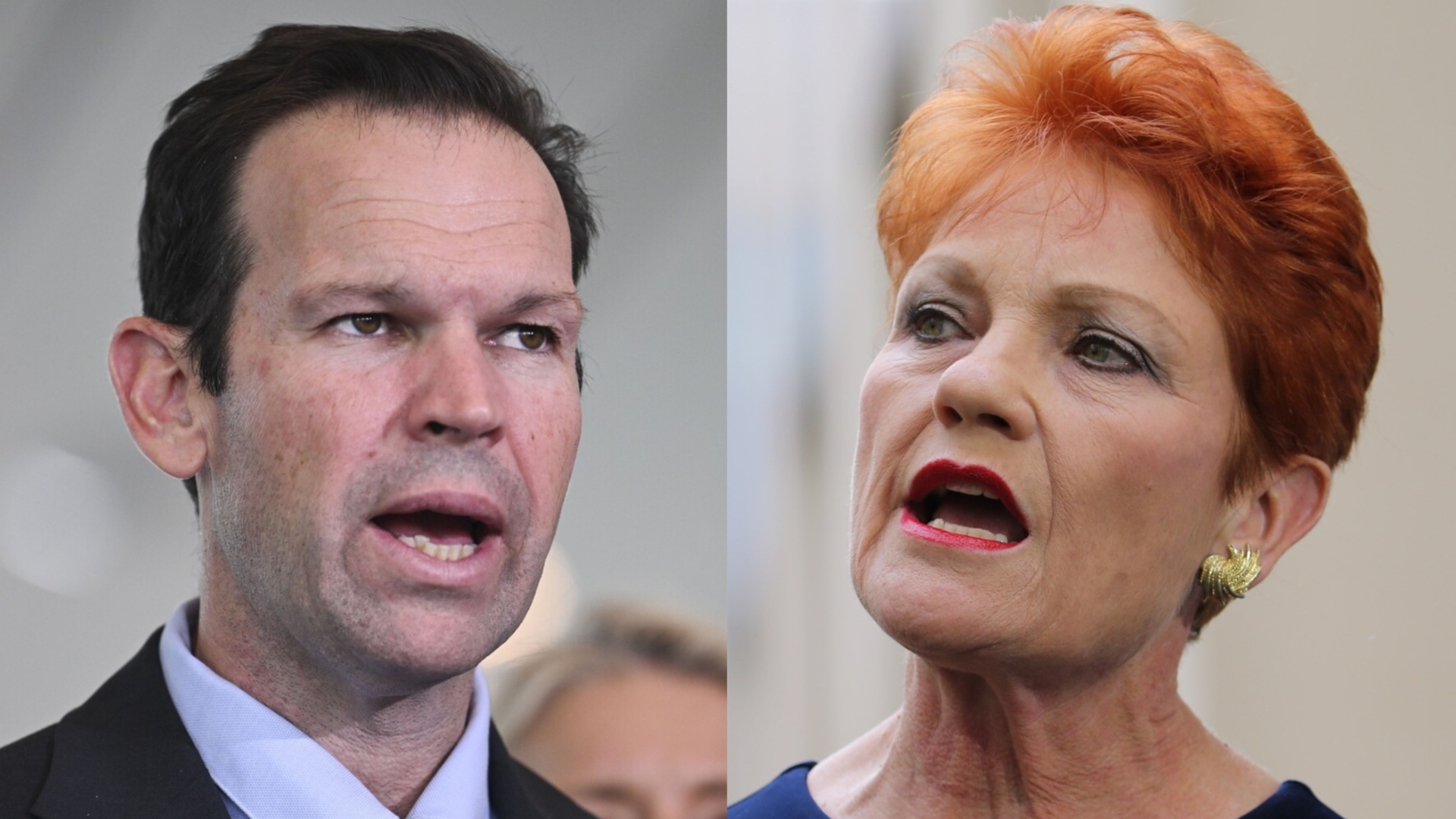 ‘Going to be extinct’: One Nation predicted to ‘wipe out’ Nationals at ...
