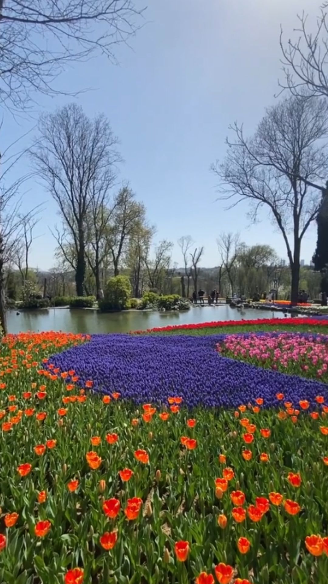 Gülhane Parkı’nda lale ziyareti keyfi
