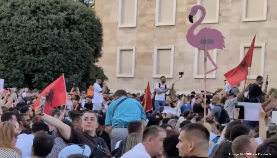 Balkan blog: Albania’s ‘flamingo revolution’ raises questions over Rama ...