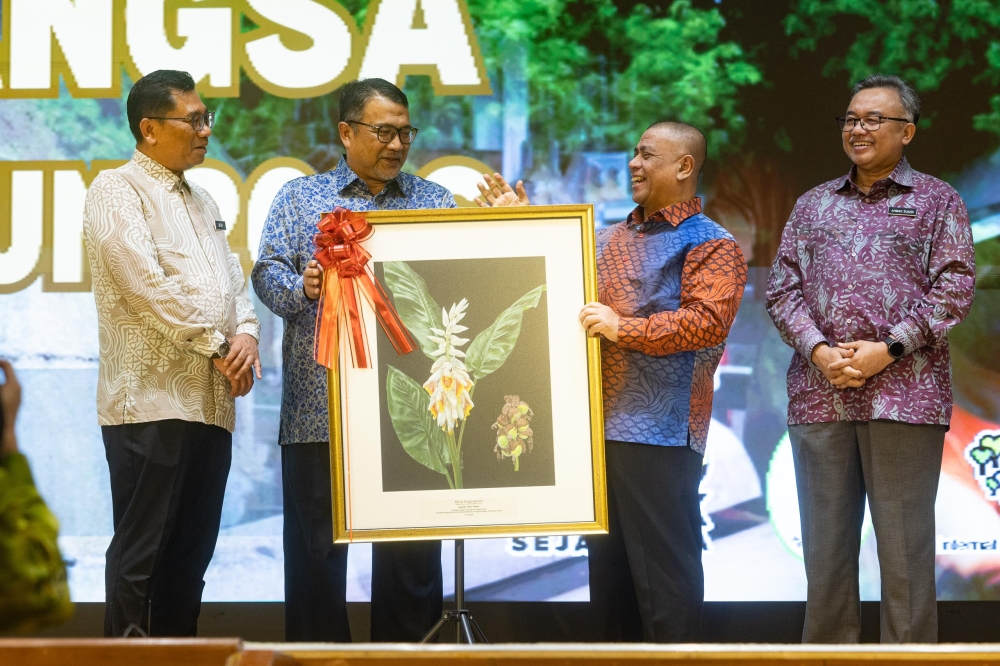 New wild ginger species discovered in Lenggong, highlighting Perak’s ...