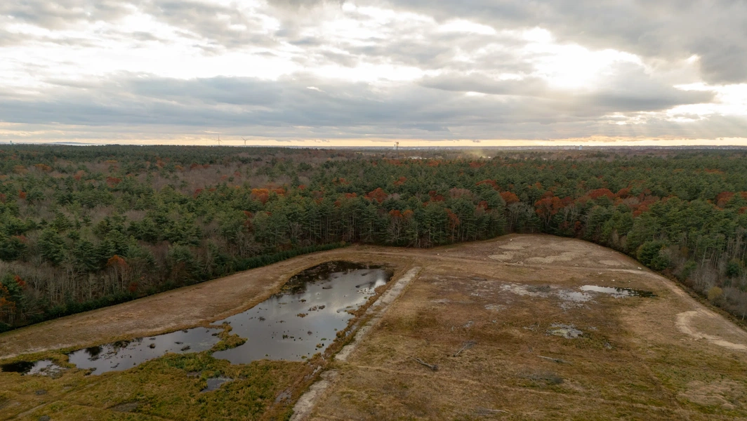 Exploring West Virginia's Cranberry Glades
