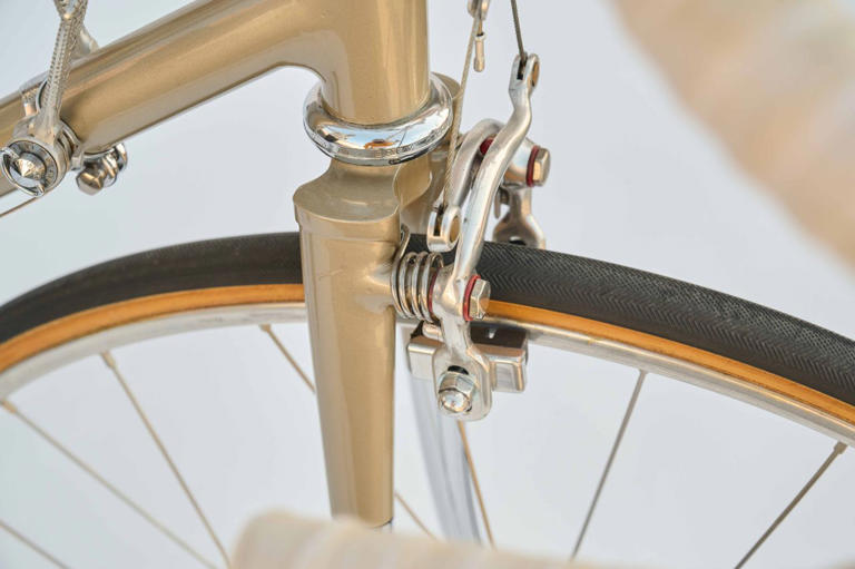 Full of unusual quirks, this Carlton is what a specialist TT bike used ...