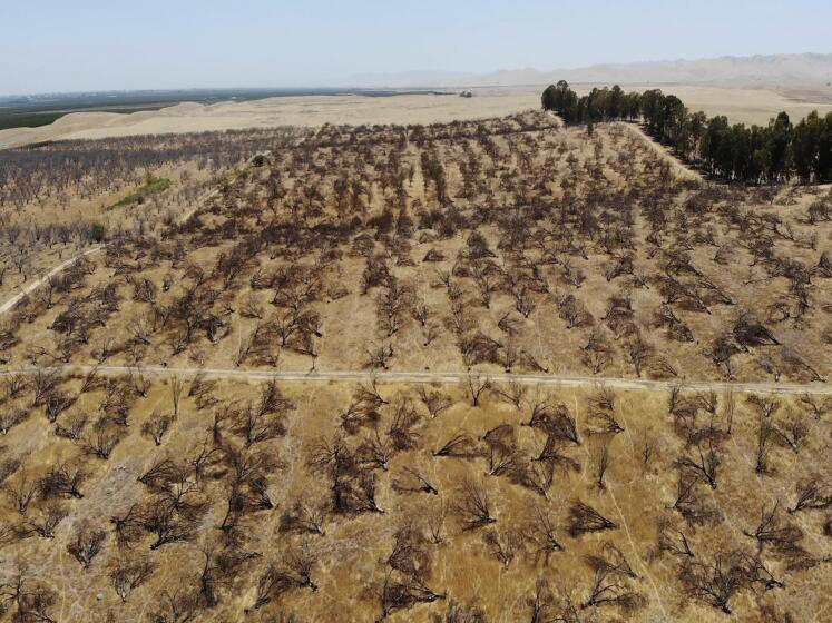 Contributor: Recent assessment of California's water misallocation is ...