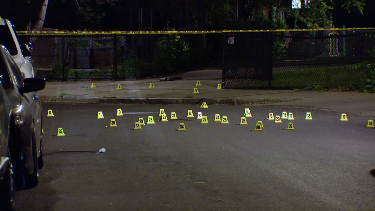 Shots fired in Roxbury; Boston police investigating