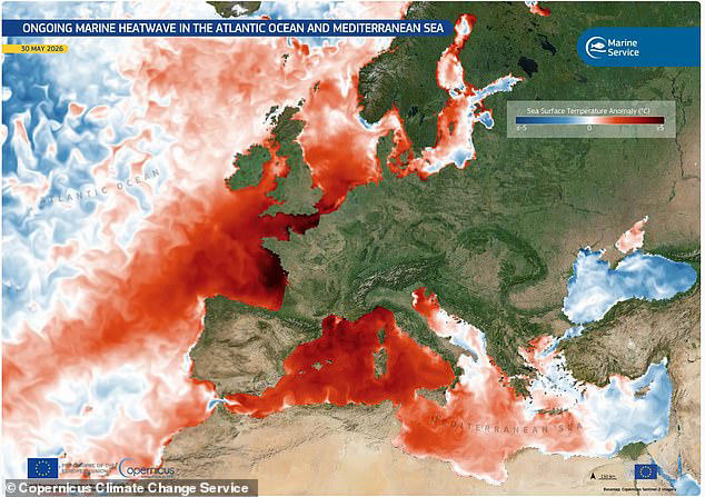 The ominous sign a super El Niño is imminent: Parts of the Atlantic ...
