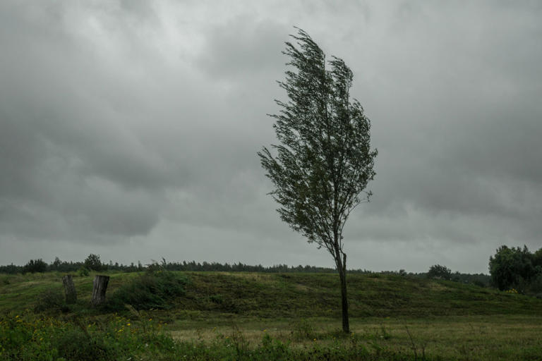 Le vent va encore souffler ce dimanche en Bretagne