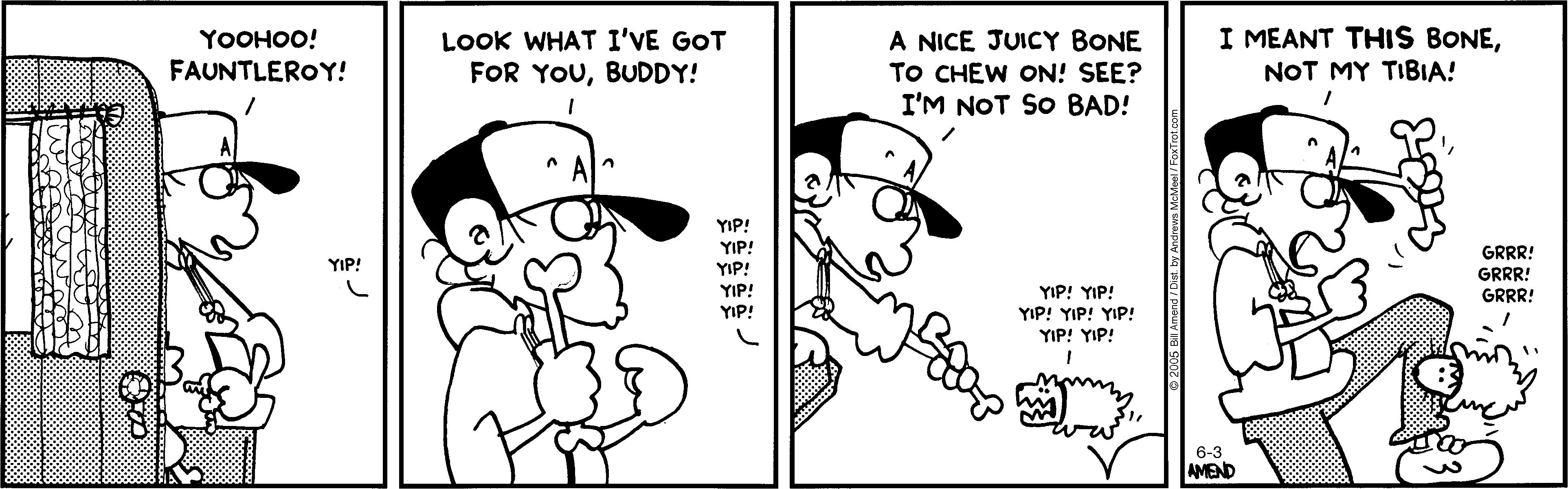 FoxTrot by Bill Amend