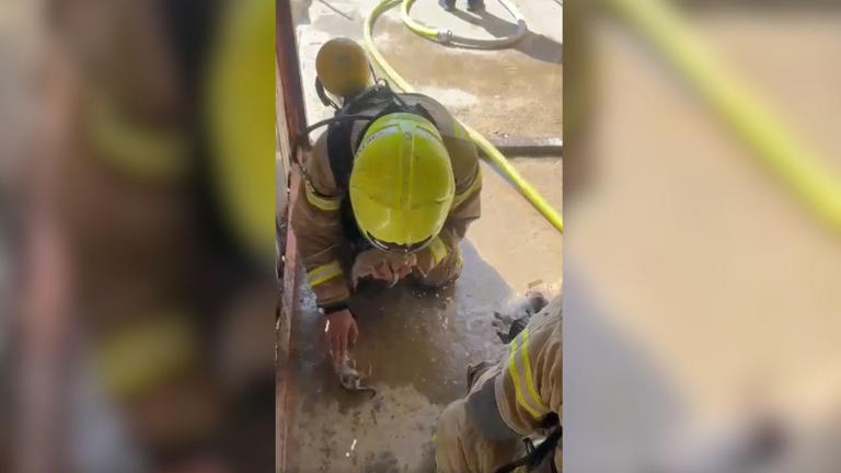 Watch: Firefighters give lifesaving treatment to kittens rescued from ...