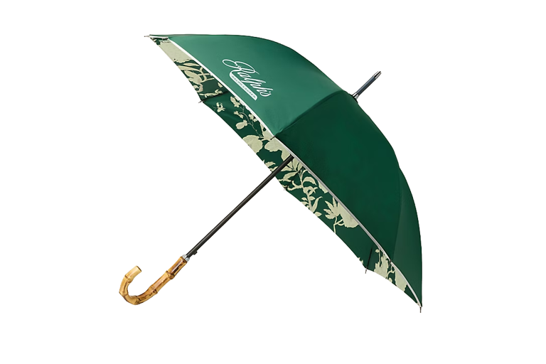 Best umbrellas for rain in the UK