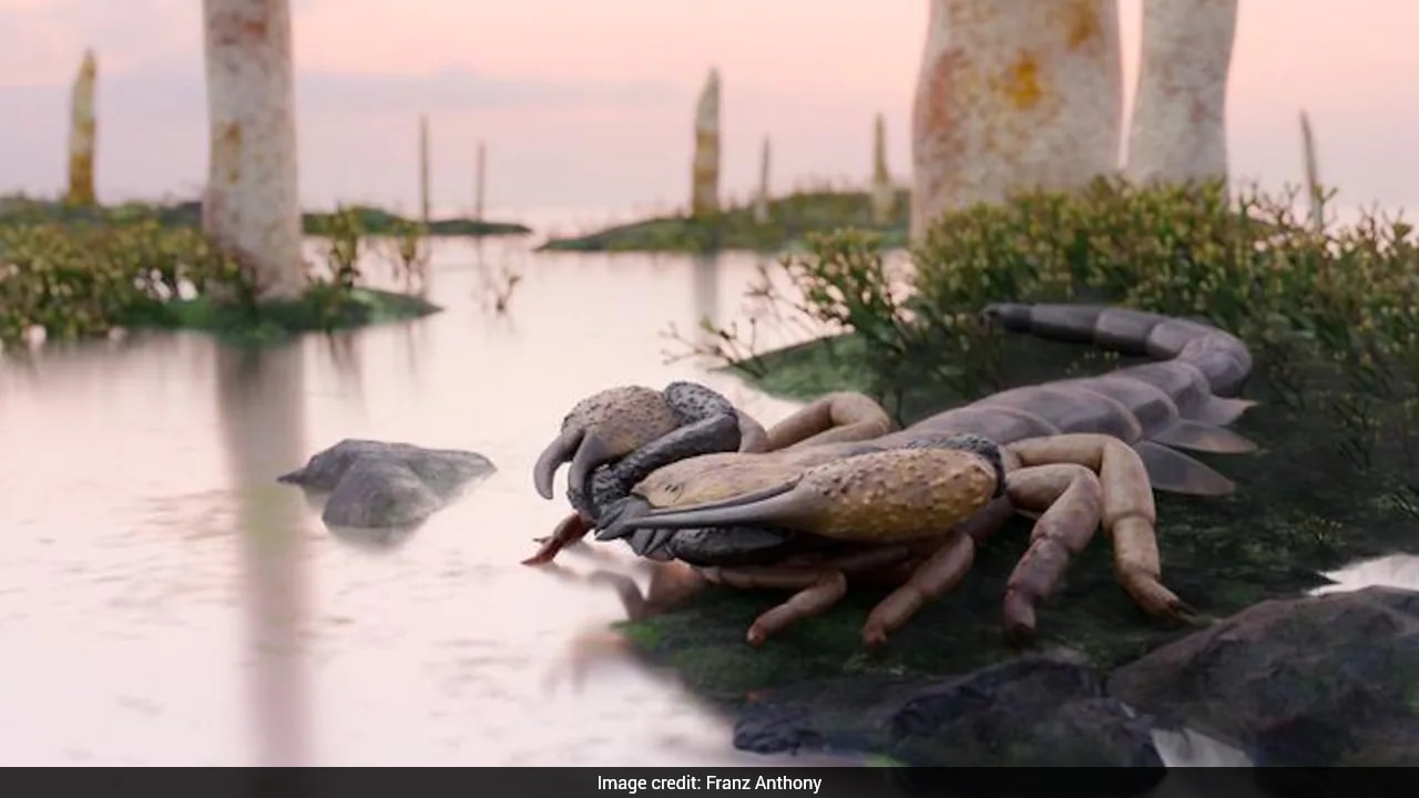 Dog-sized scorpions once crawled across Britain 415 million years ago ...