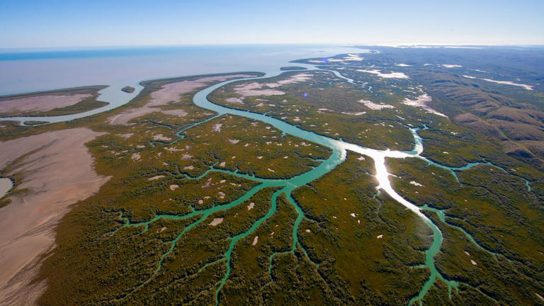 Call for reform amid rampant land clearing, nature loss