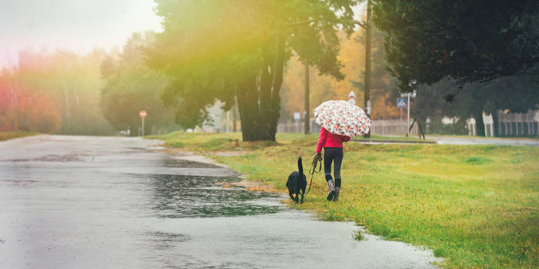 Unsettled weather continues with changeable weekend ahead