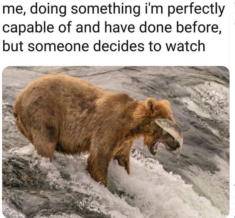 'You deserve this little treat': 23 heartwarming animal memes for ...