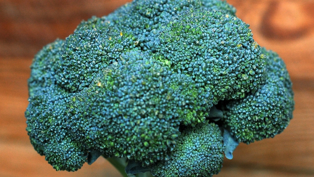 16 broccoli recipes even picky eaters enjoy
