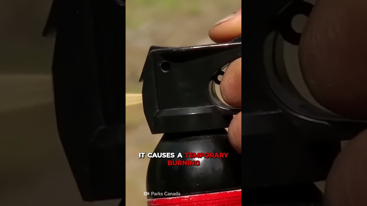 Learn how bear spray can stop a dangerous animal attack