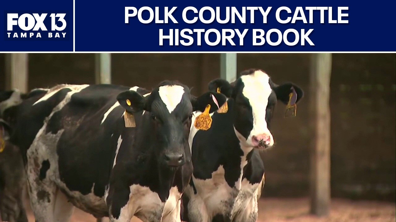 Preserving Polk County's cattle brand books