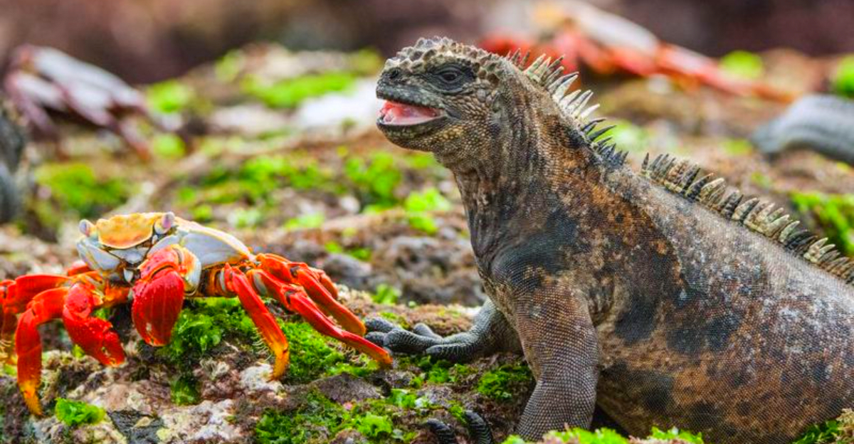 14 nature destinations every wildlife photographer dreams about