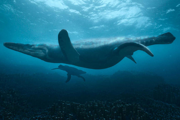 Everything to know about Surviving Earth, NBC’s vivid & thrilling new ...