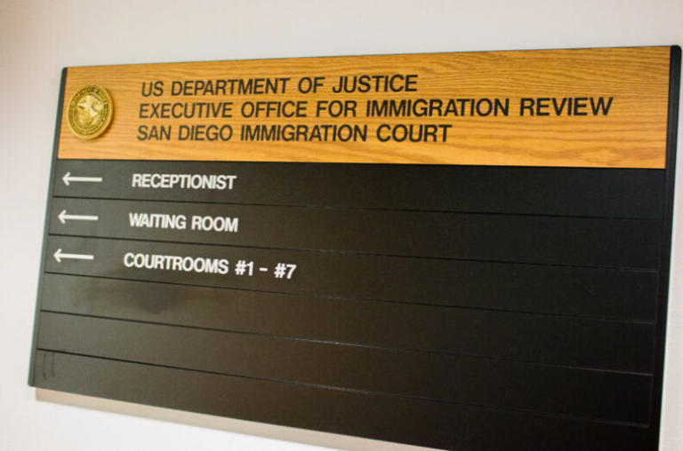 Lawyers accuse immigration courts of holding 'sham' bond hearings