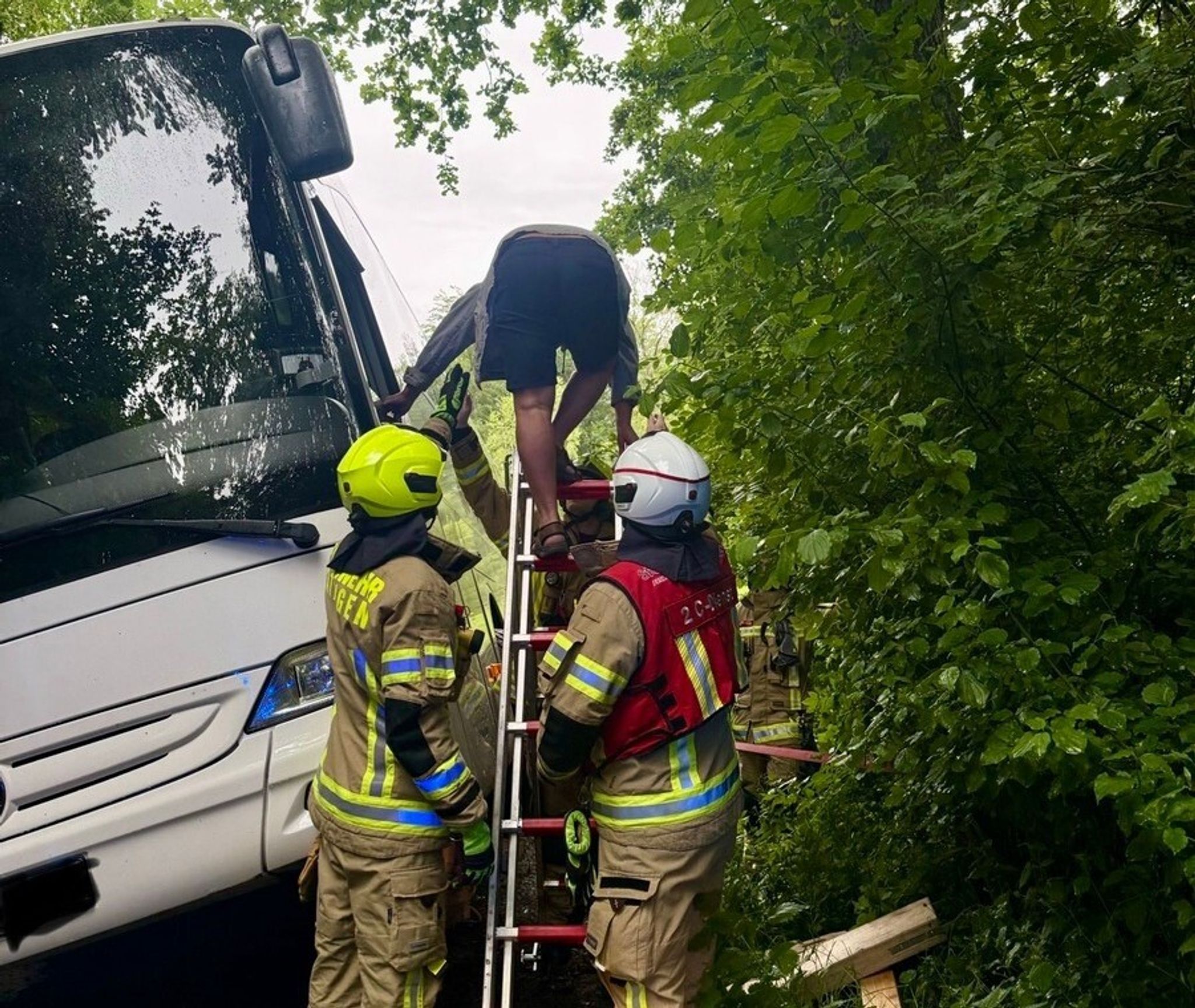 Bus bleibt in Wald stecken – Kinder müssen mit Taxis fahren