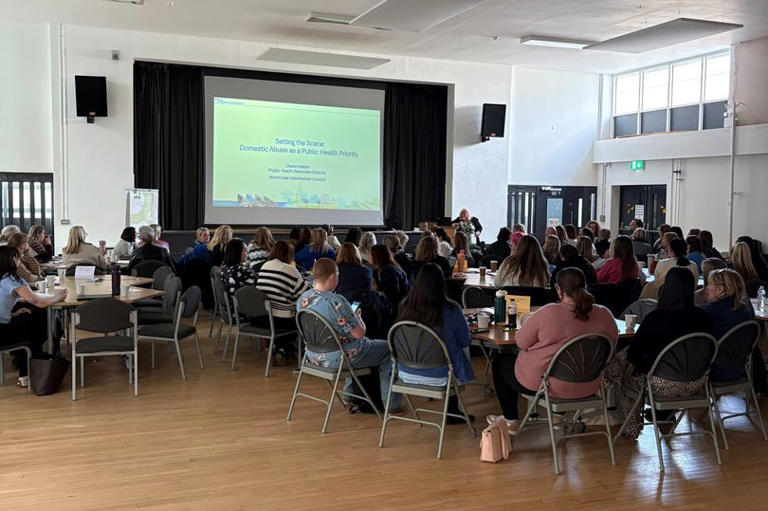 Partners come together to shape domestic abuse strategy in North East ...
