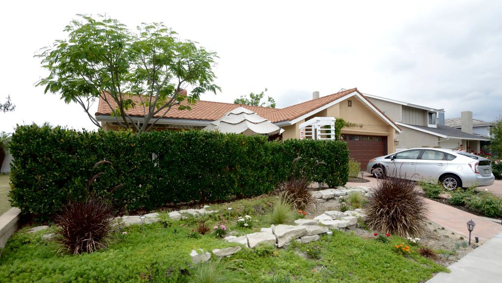 Experts urge gardeners to avoid invasive plants amid yard trends