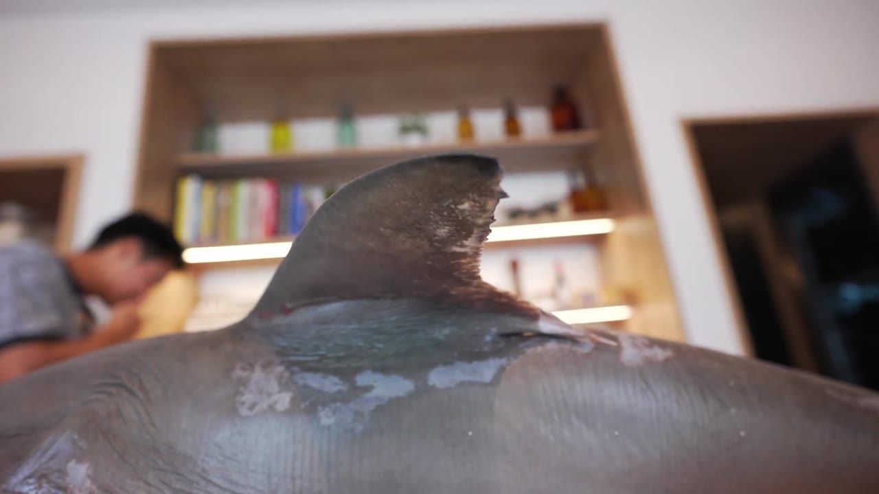 The giant fish that became a New York sidewalk surprise