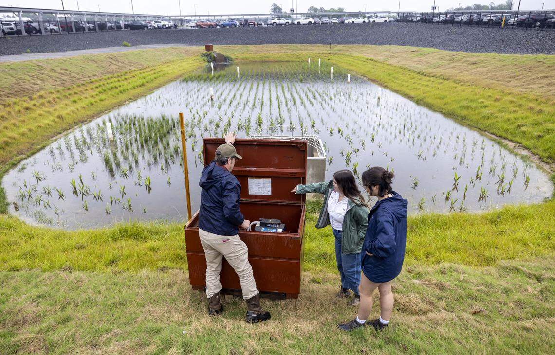 RDU tries novel approach to stormwater flowing off its massive parking lot