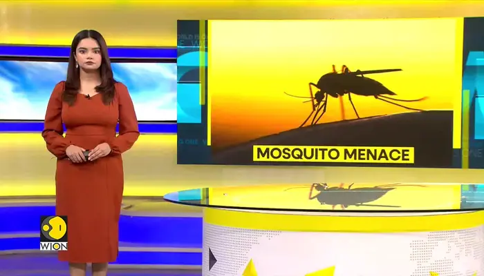 Google’s mosquito experiment: Millions of bugs to be released across US ...