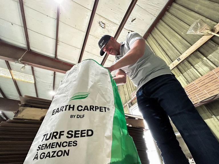 Soccer-the perfect pitch is the goal for World Cup grass growers