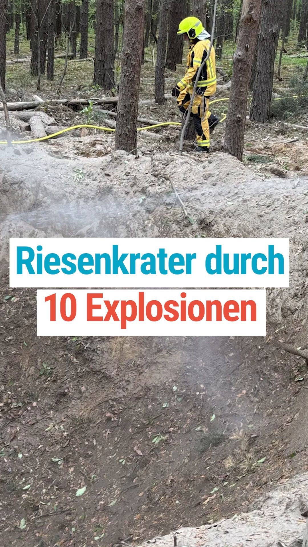 Zehn Explosionen im Wald