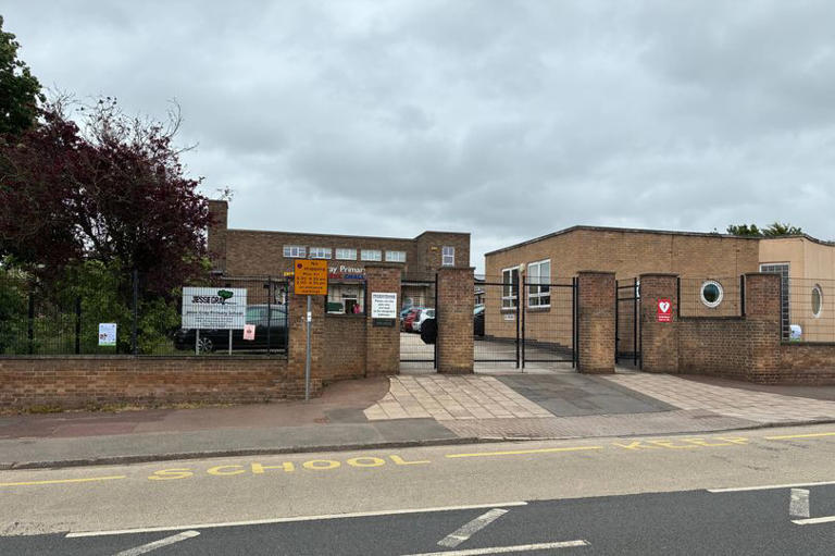 Nine primary school children hospitalised after eating seeds from tree ...
