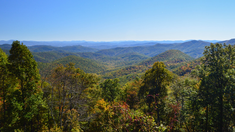 North Carolina's rustic suburb near Asheville is a mountain gem with ...