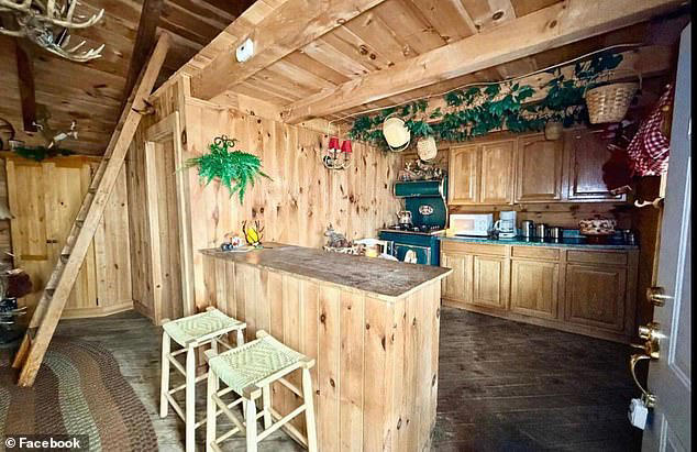 Retired teacher, 58, buys gorgeous off-the-grid cabin in Maine to ...
