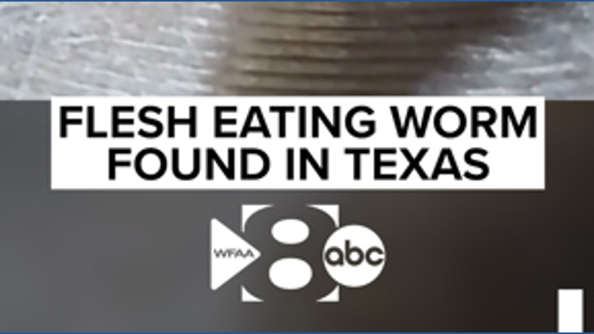 Flesh-eating worm found in Texas