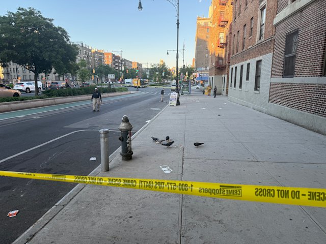 Man shot to death on Grand Concourse; investigation underway