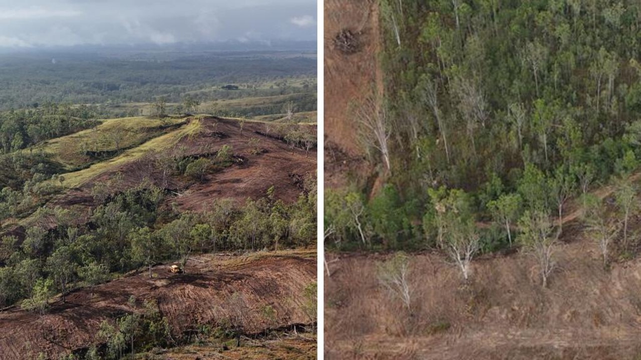Alarm bells over land clearing after landmark report