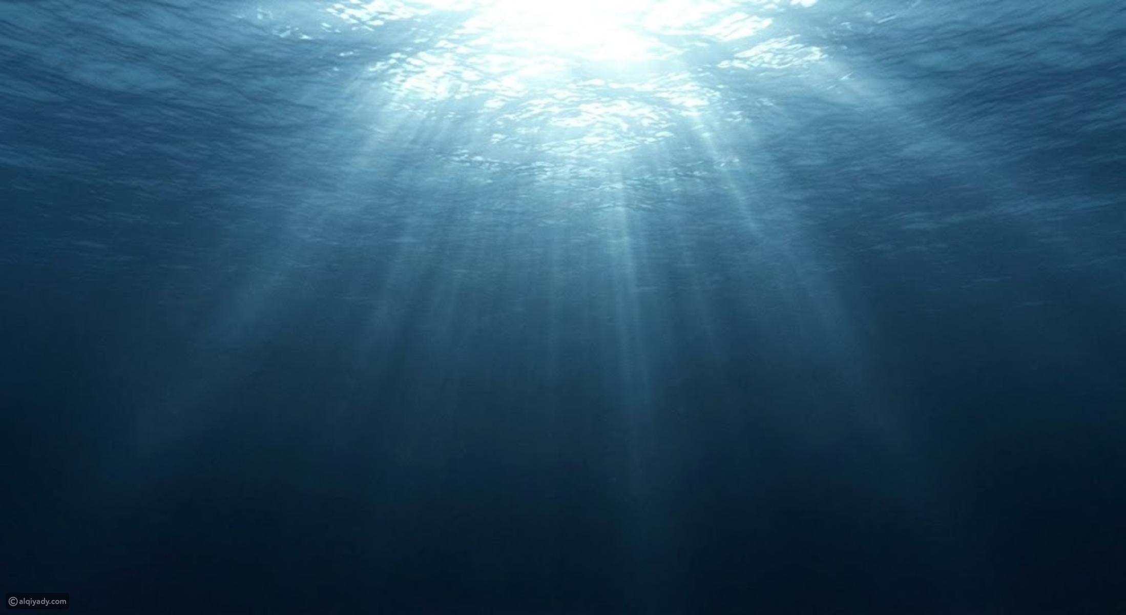 Scientists confirm what’s driving sea level rise — and it’s alarming