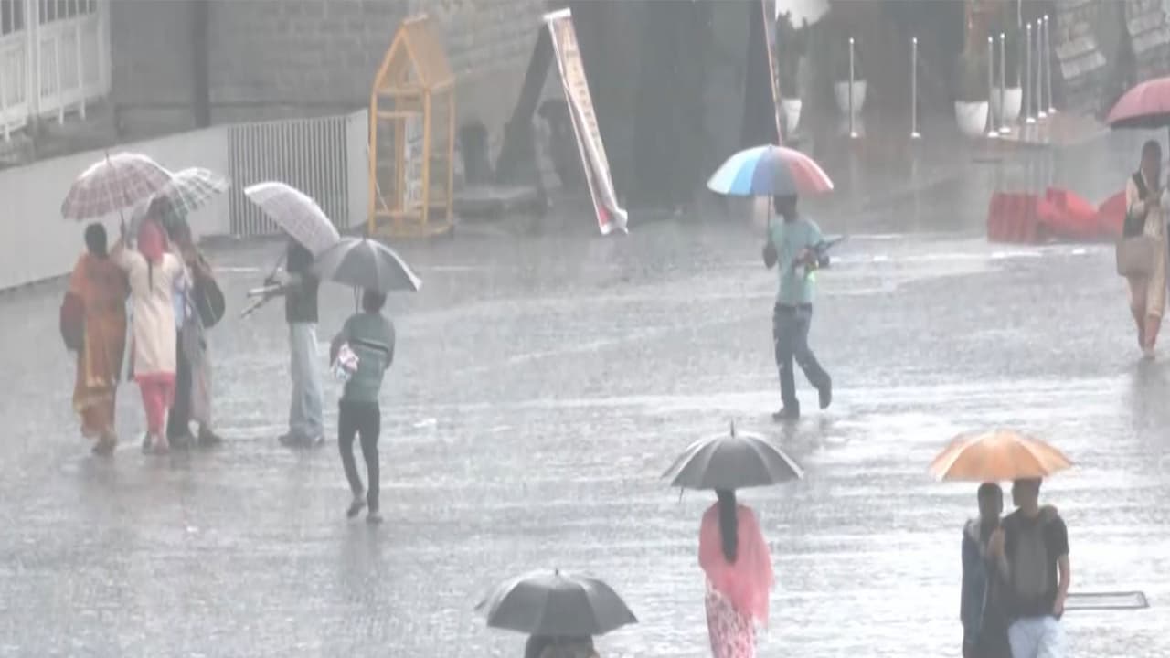 Shimla's sudden rain, cool winds a welcome escape for tourists