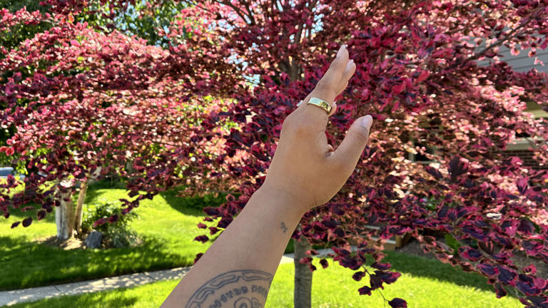 I just started testing the Oura Ring 5, and it's so thin I keep ...