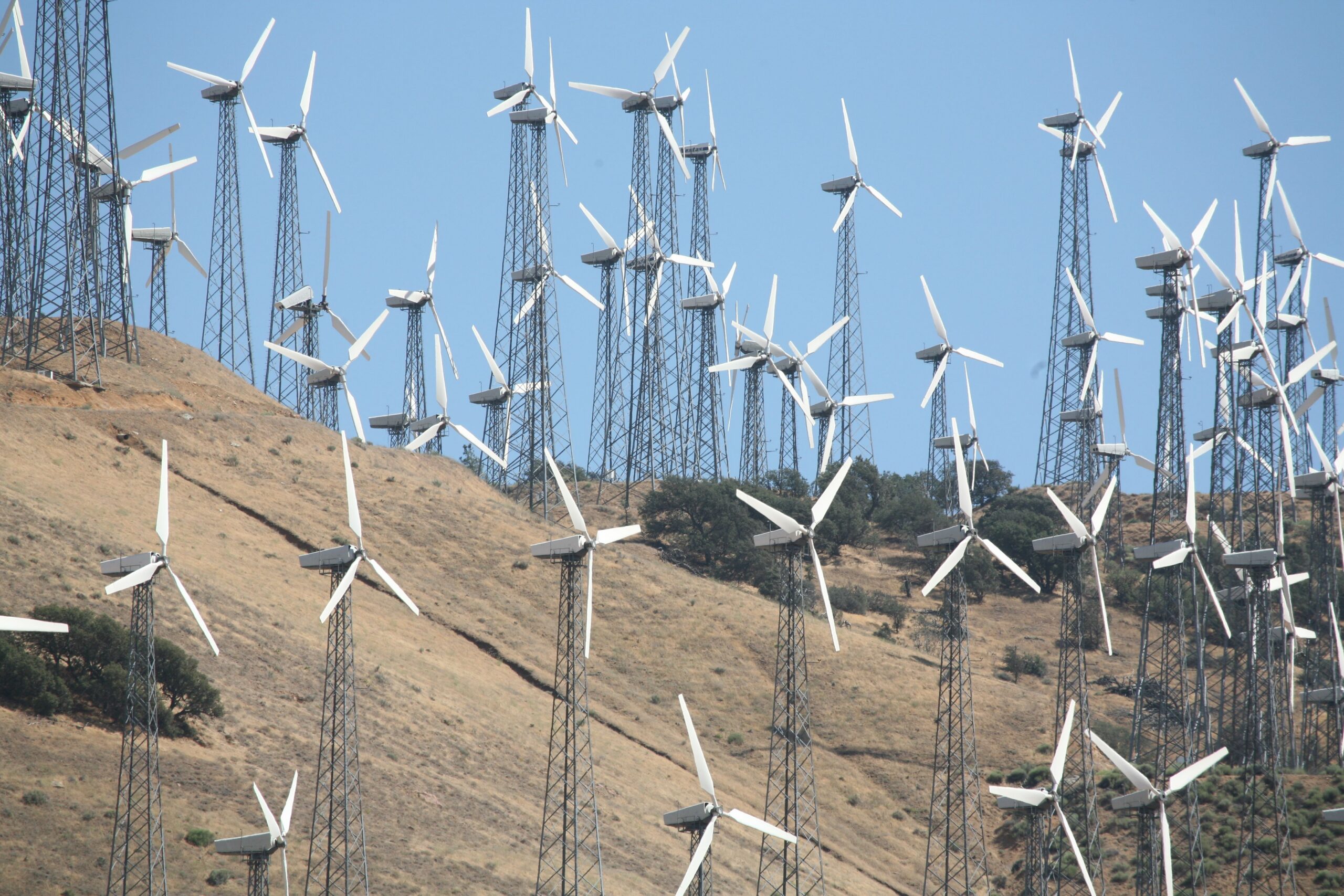 Green energy takes a sharp and rapid upturn